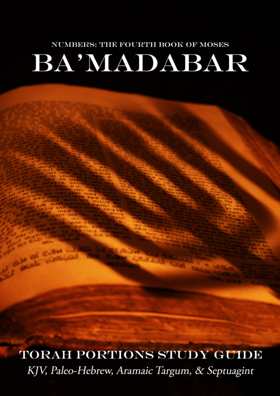 Torah Portions Study Guide 4: Numbers - The Unexpected Cosmology